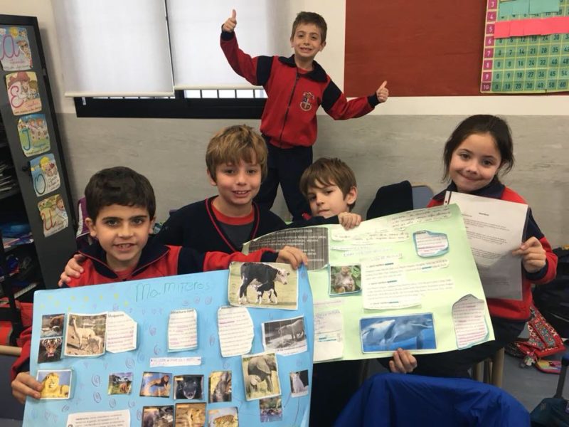 3A - Proyecto : “Diversidad de los animales vertebrados e invertebrados ...